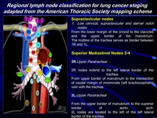 Mediastinal Lymph Nodes