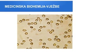 Sediment urina | PPTX