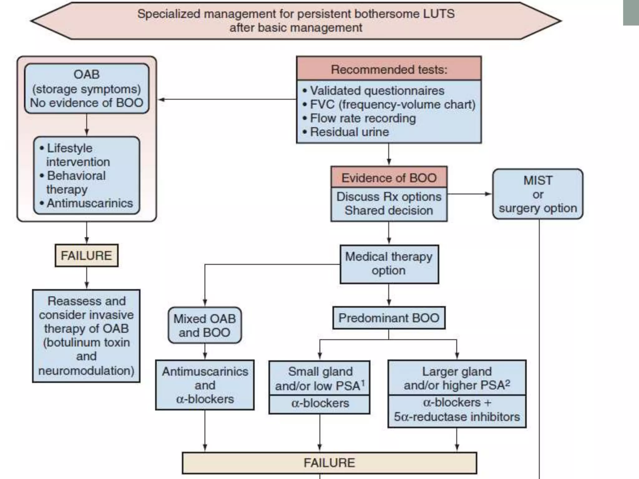 Non Surgical Management of Benign Prostatic Hyperplasia By Dr Sajad ...