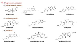 med chem3 gfffxxggvcccbhgcccvv vhgvb.pptx