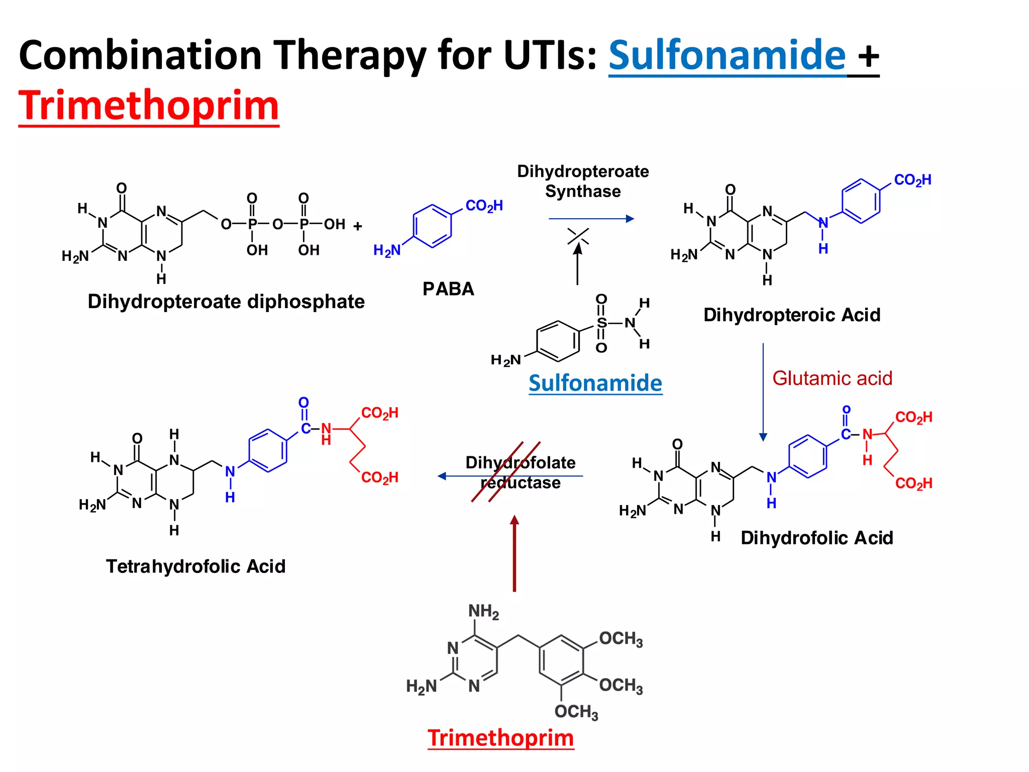 MedChem3_Part1_2022_Updated.pdf