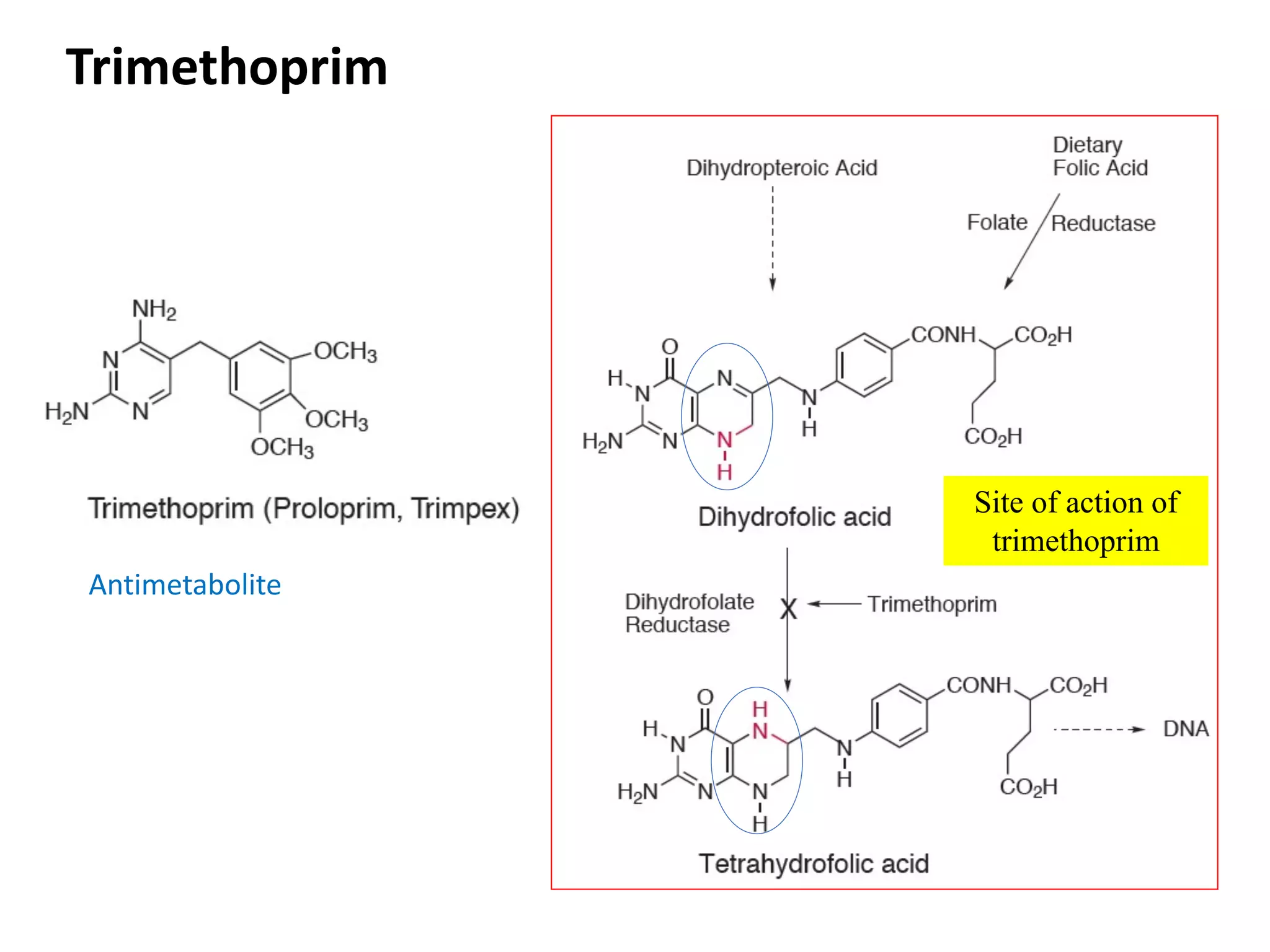 MedChem3_Part1_2022_Updated.pdf