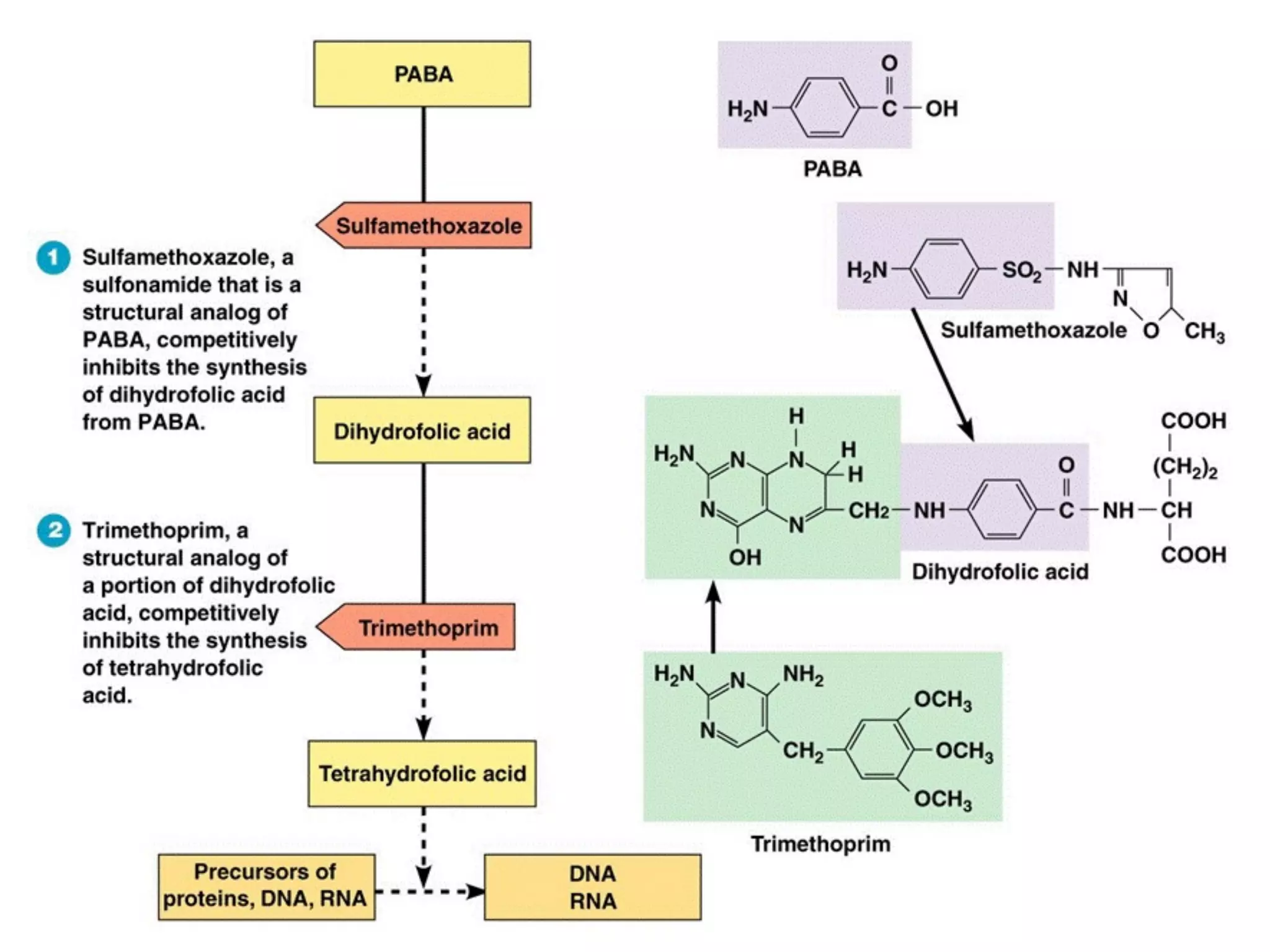 MedChem3_Part1_2022_Updated.pdf