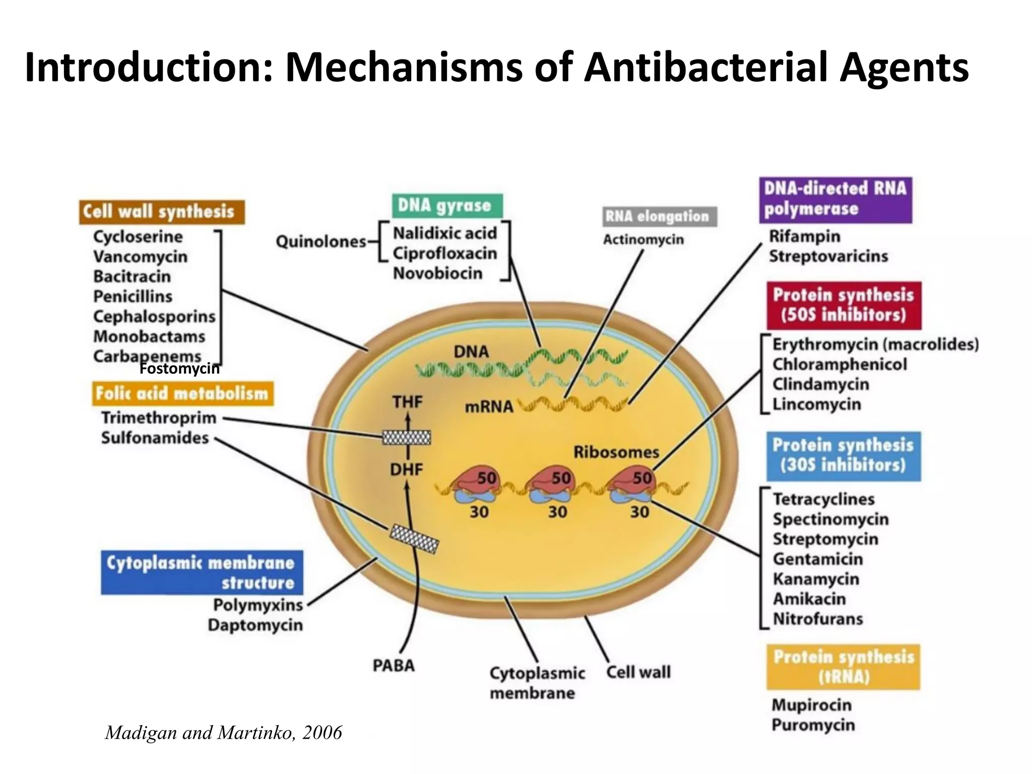 MedChem3_Part1_2022_Updated.pdf