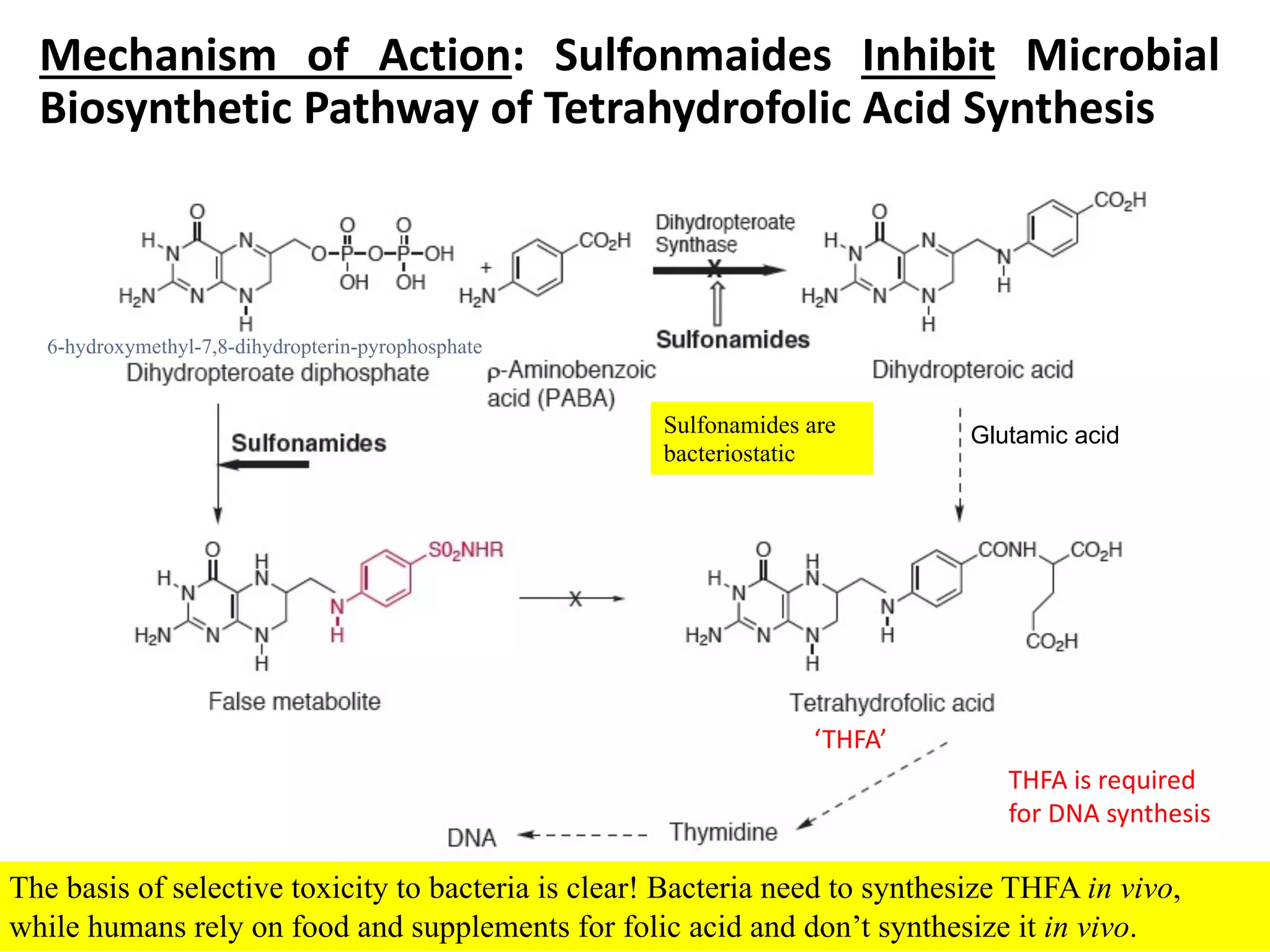 MedChem3_Part1_2022_Updated.pdf