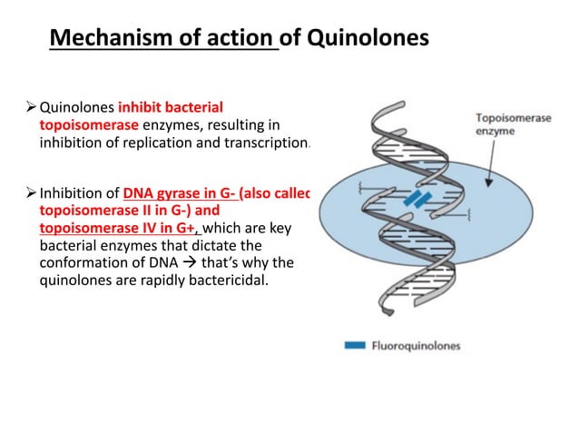 MedChem3_Part1_2022_Updated.pdf