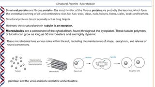 Medicinal Chemistry : Protein Structure | PPTX
