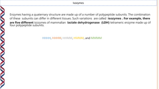 Medicinal Chemistry : Enzyme structure and function | PPT