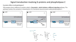Medicinal chemistry Basics: Receptor | PPTX