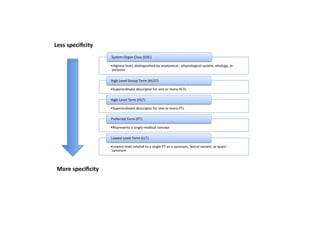 Medical Dictionary for Regulatory Activities (MedDRA) | PPT