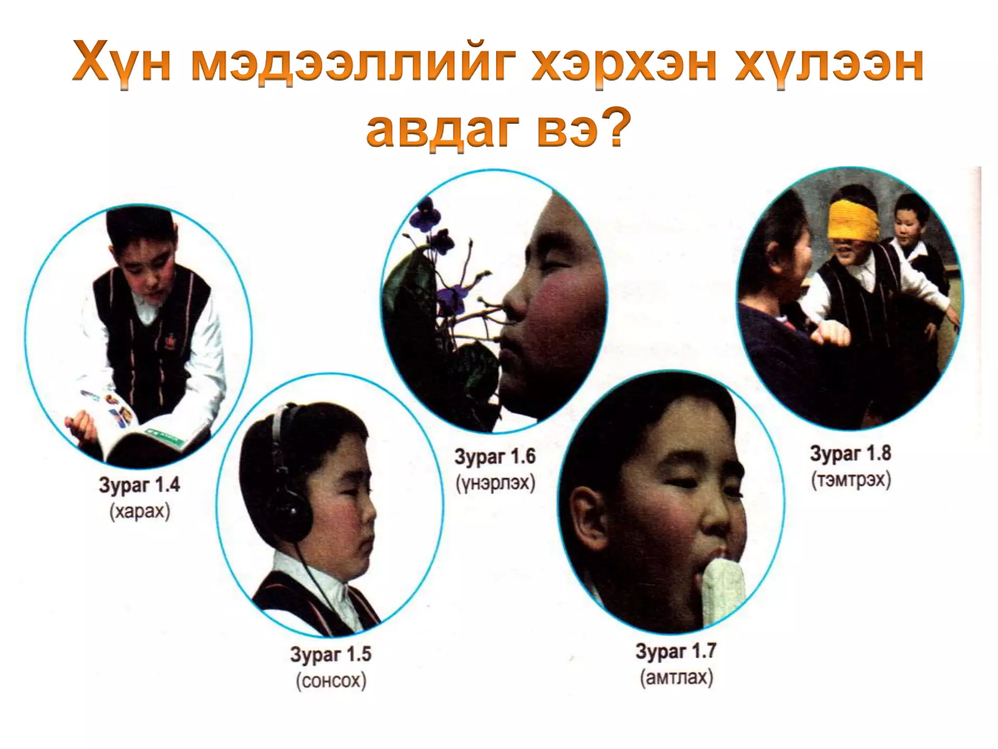 Medeelel damjuulah х 7 1-1 | PPTX
