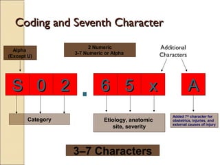 Medical Coding Training Online Minicourse | PPT