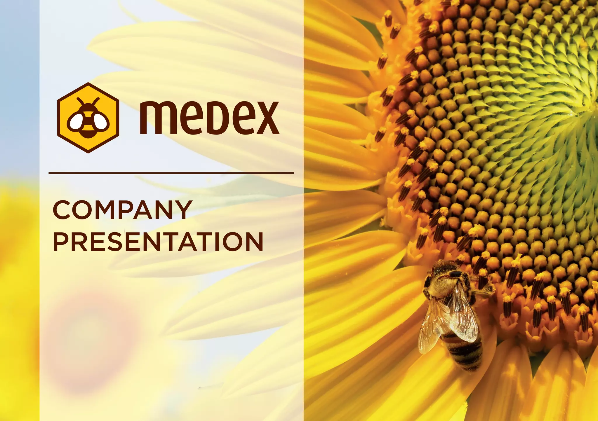 MEDEX Company presentation | PDF