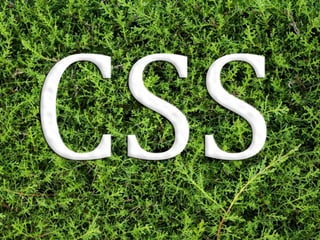 CSS slideshare | PPT