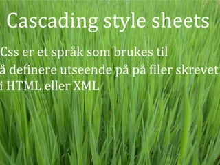 CSS slideshare | PPTX