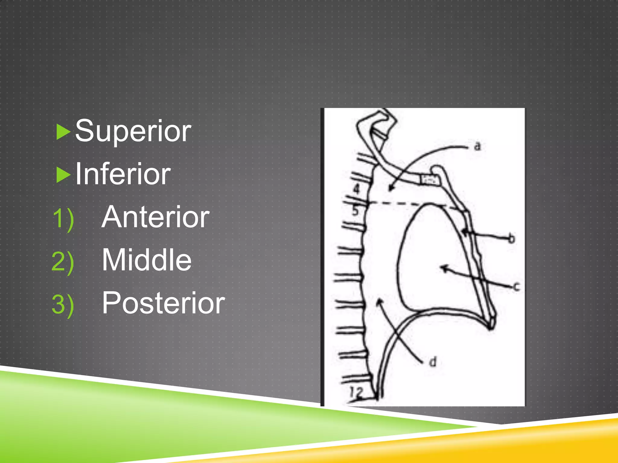 CT ANATOMY OF NORMAL MEDIASTINUM MADE EASY | PPTX