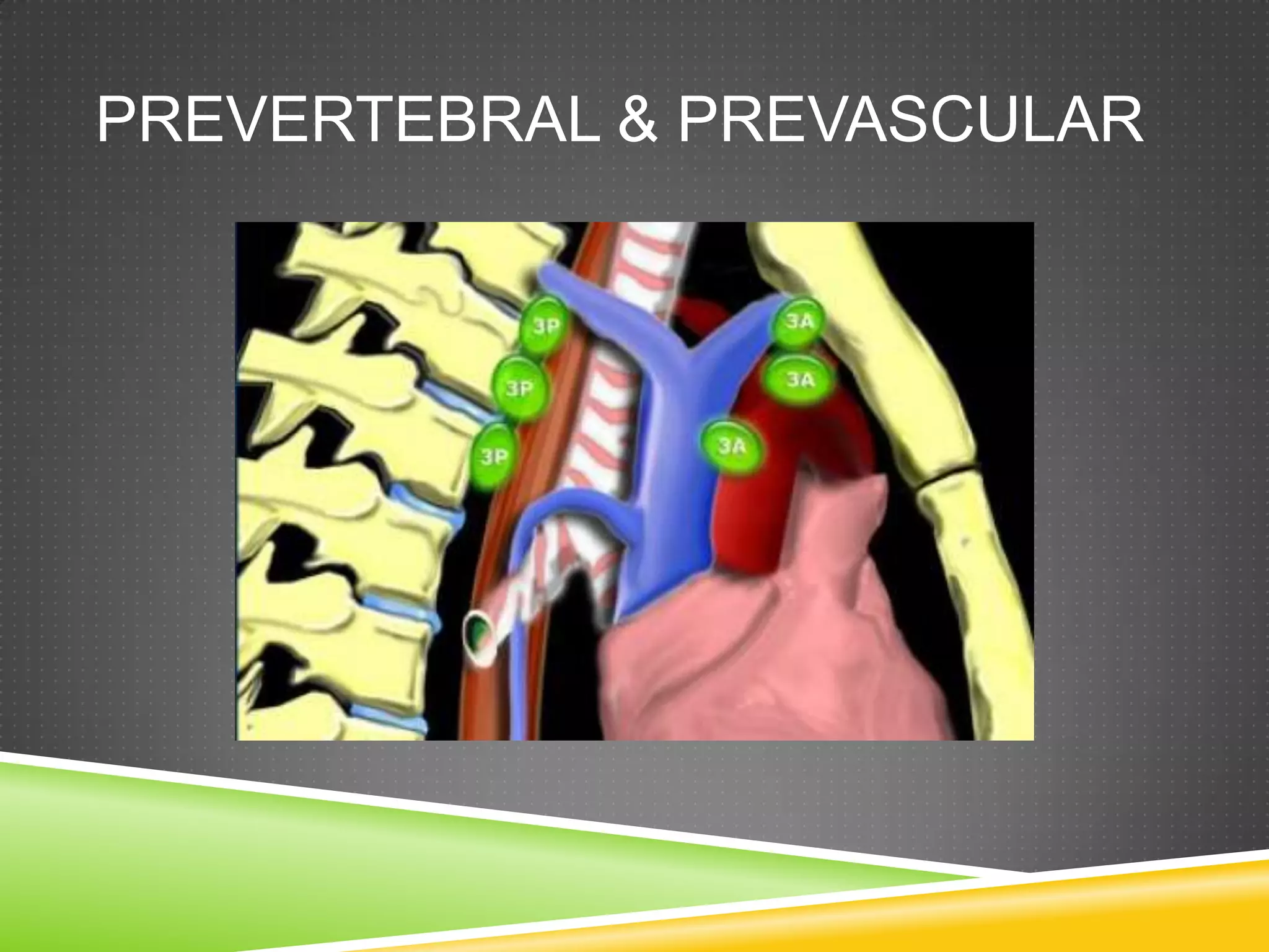 CT ANATOMY OF NORMAL MEDIASTINUM MADE EASY | PPTX