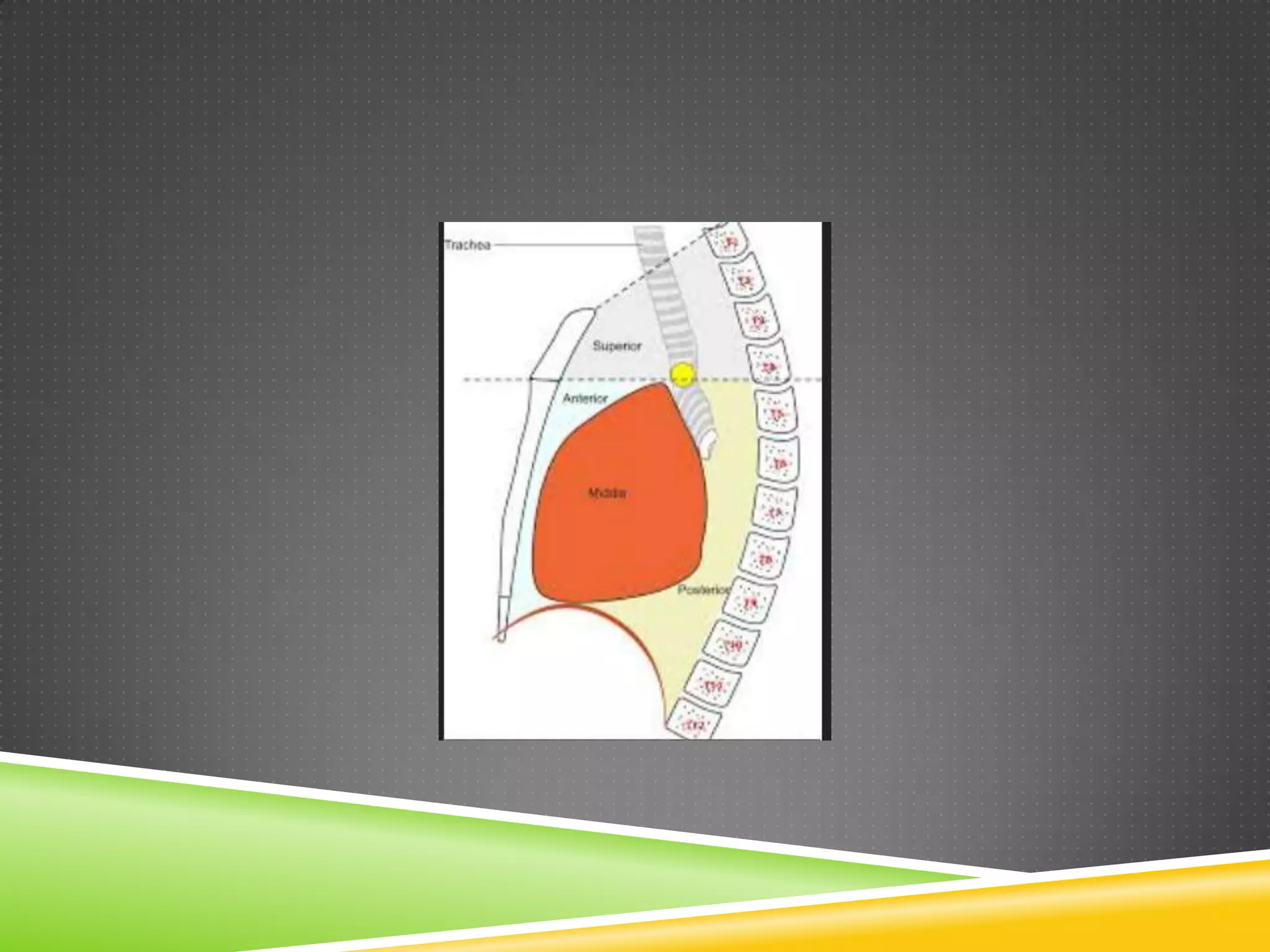 CT ANATOMY OF NORMAL MEDIASTINUM MADE EASY | PPTX