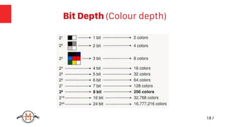 Basics of Media | Types of Media | Units in Media | Software in Media ...