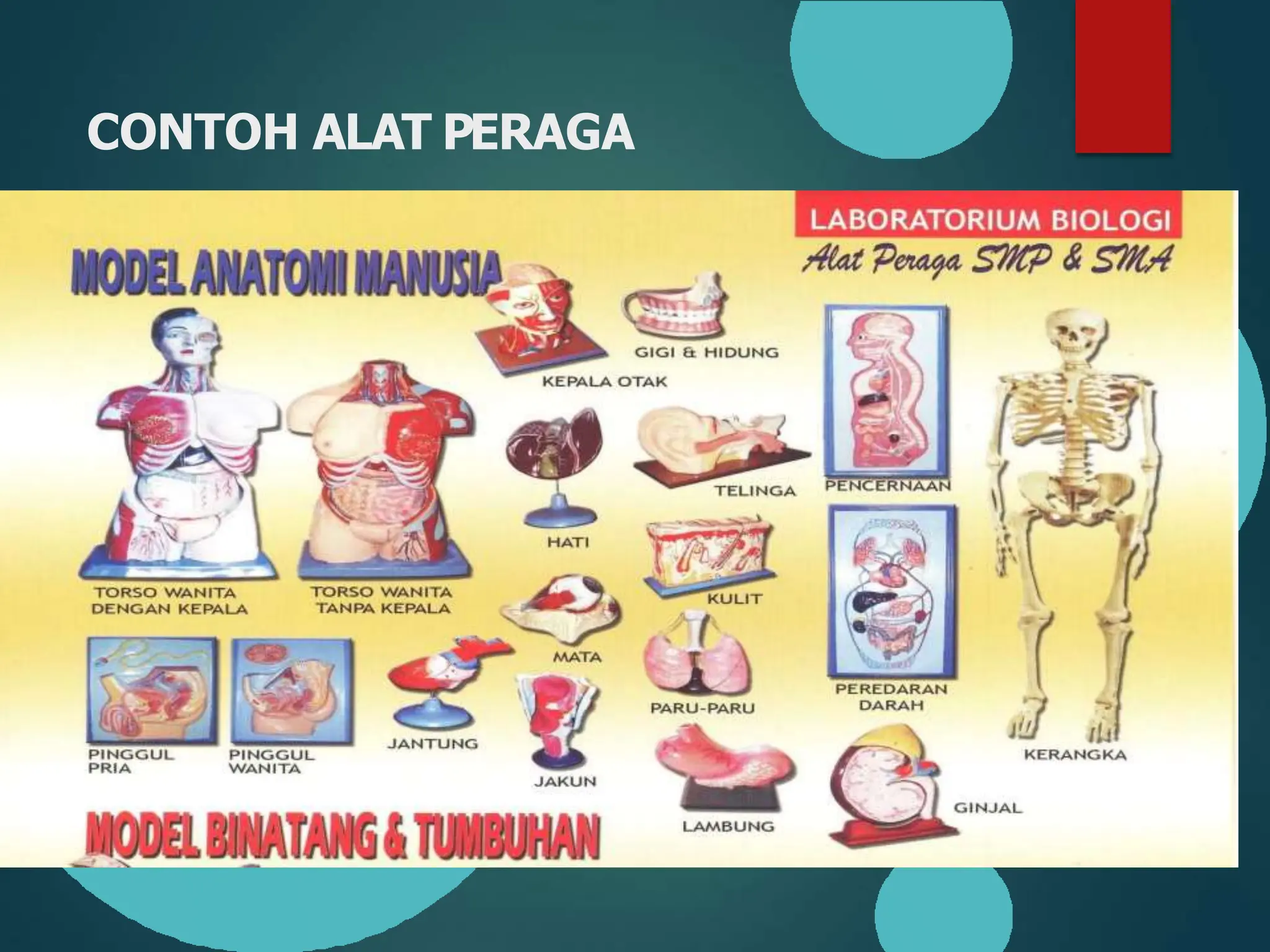 Media-dan-Alat-Peraga-Dalam-Pembelajaran-IPA.pptx