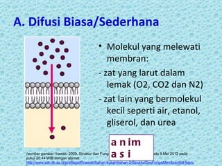 Media presentasi-difusi-osmosis | PPT