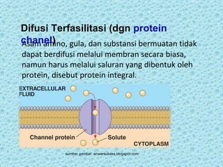 Media presentasi-difusi-osmosis | PPT