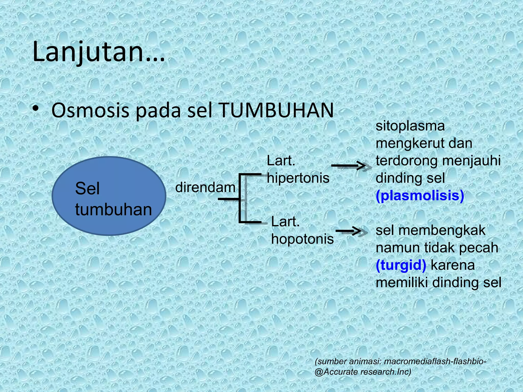Media presentasi-difusi osmosis | PPT