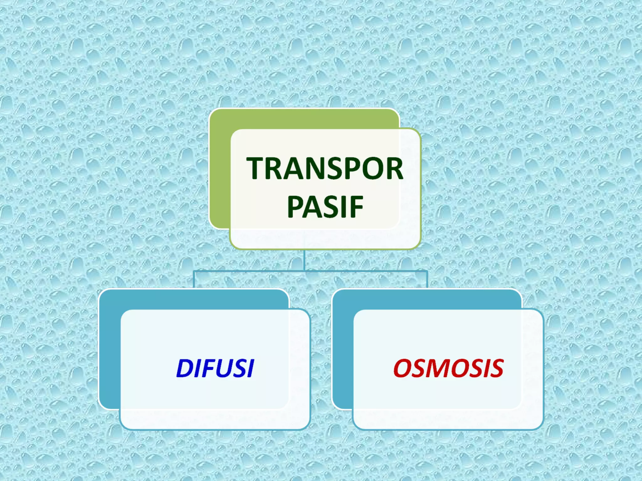 Media presentasi-difusi osmosis | PPT