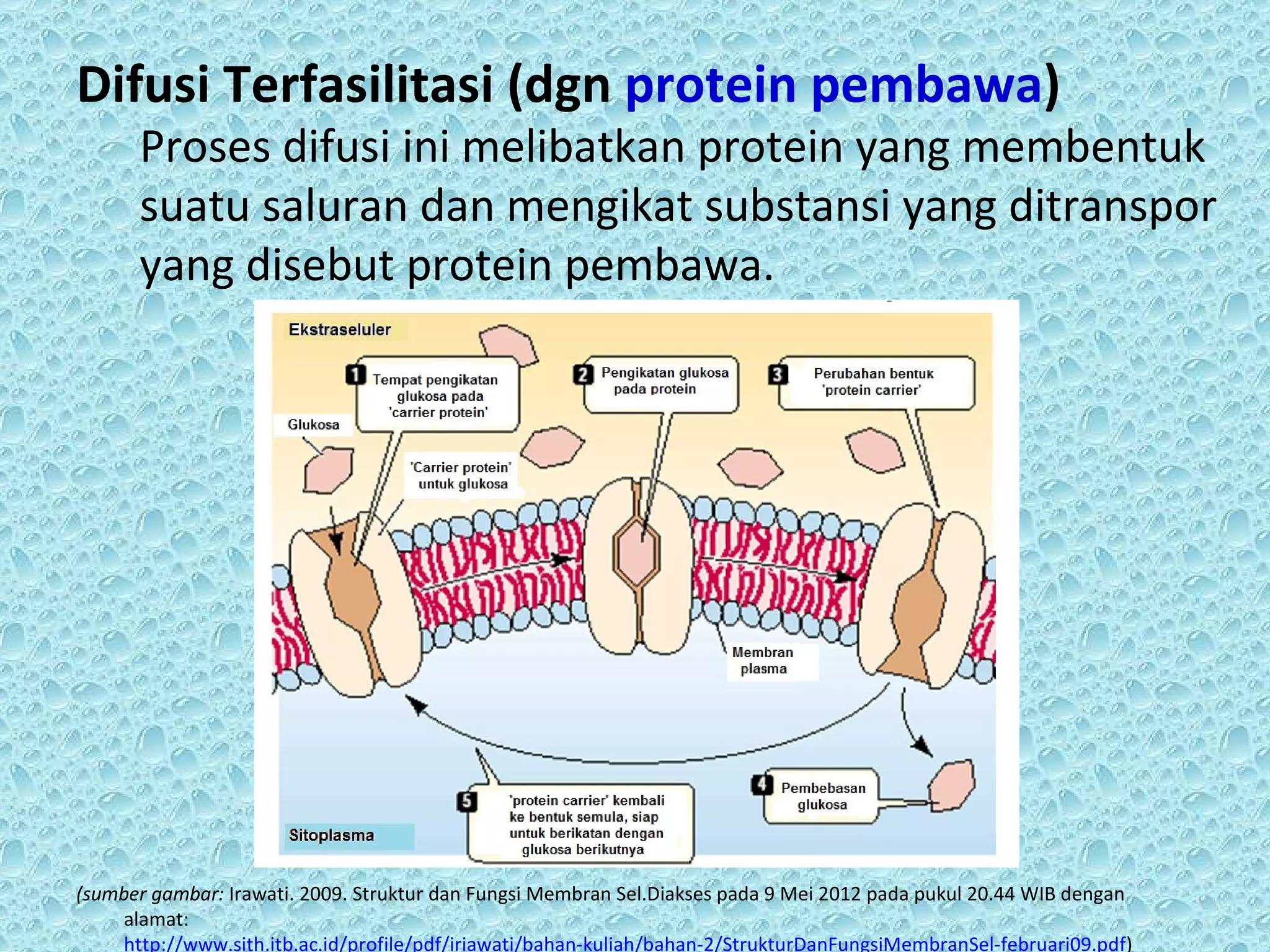 Media presentasi-difusi osmosis | PPT