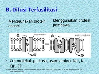 Media presentasi-difusi osmosis | PPT