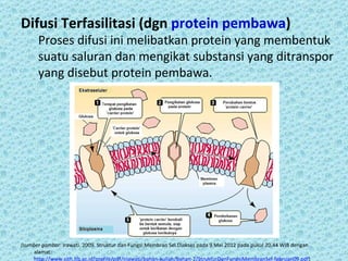 Media presentasi-difusi osmosis | PPT