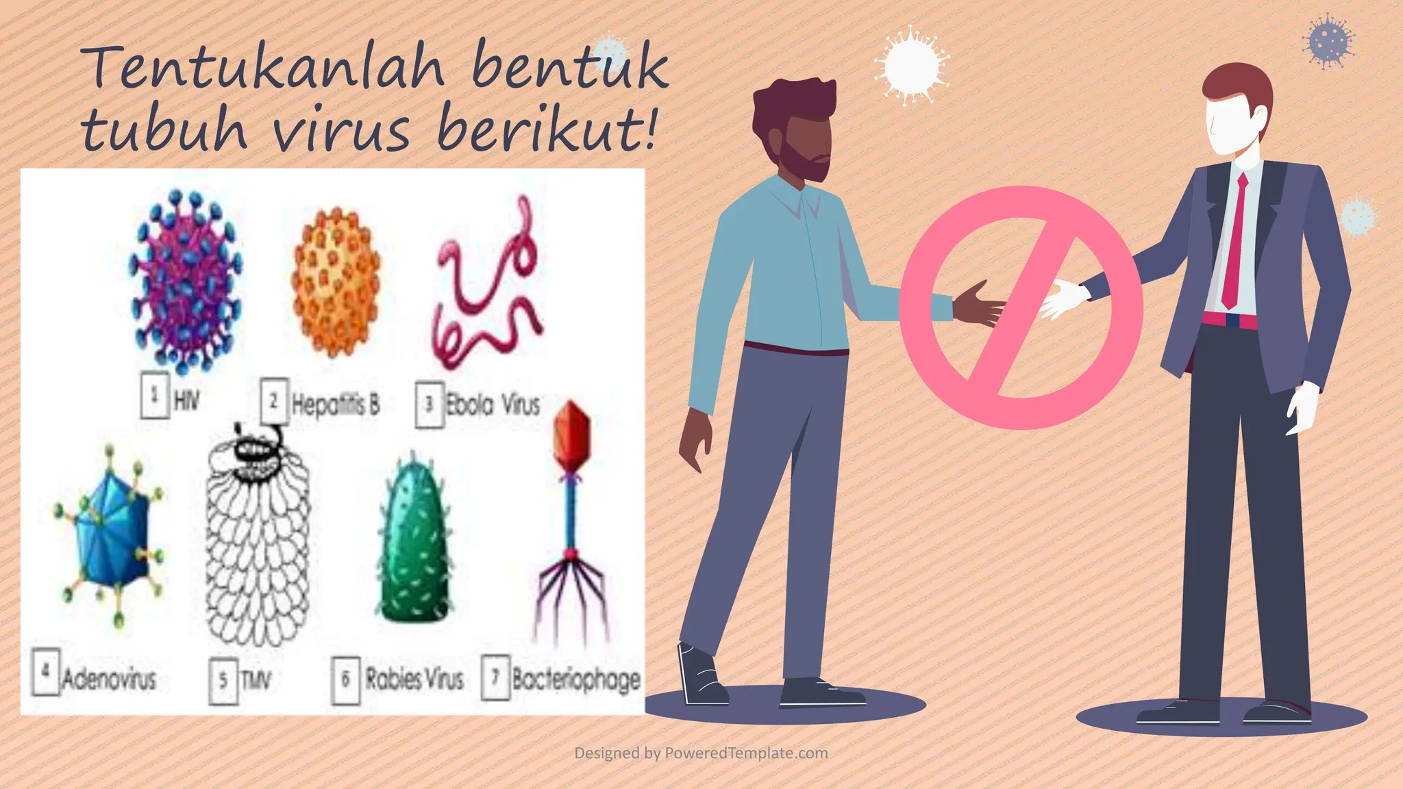 MATERI CIRI-CIRI VIRUS DAN STRUKTURKELAS 10.pptx