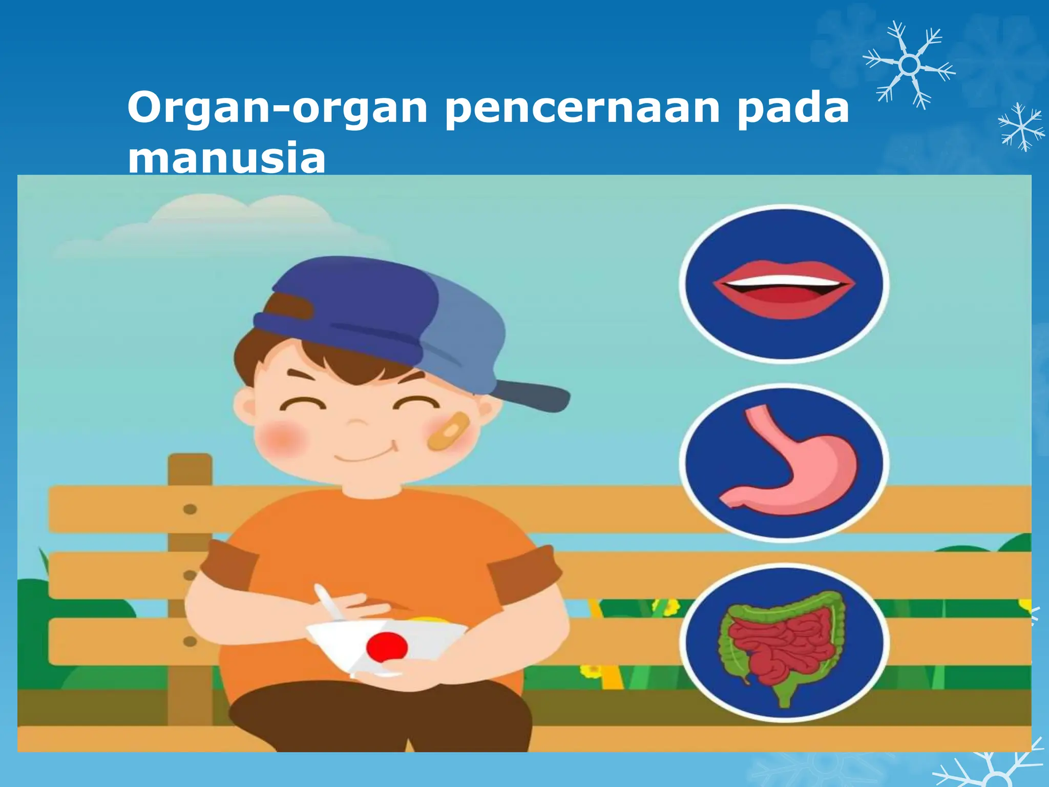 Ppt sistem pencernaan pada manusia kelas XI | PPTX