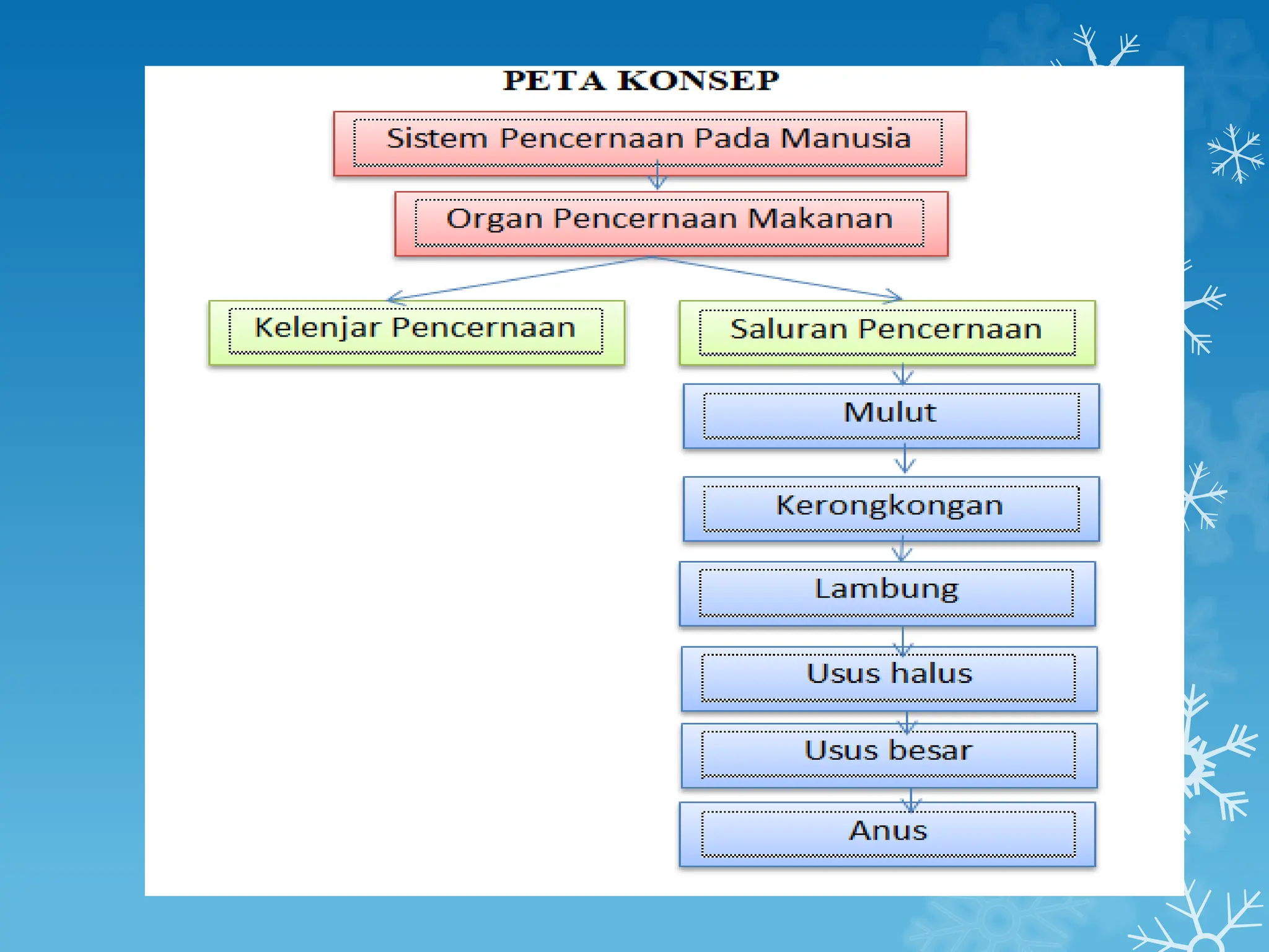 Ppt sistem pencernaan pada manusia kelas XI | PPTX