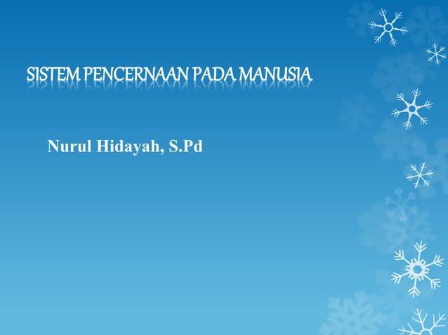 Ppt sistem pencernaan pada manusia kelas XI | PPTX