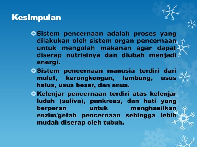 Ppt sistem pencernaan pada manusia kelas XI | PPTX