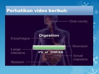 Ppt sistem pencernaan pada manusia kelas XI | PPTX