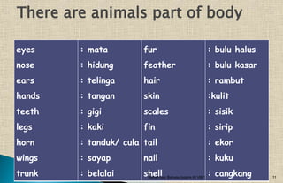 MEDIA AJAR PPT.ppt | Large Animals | Pets