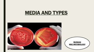 Media and its types.pptx | Chemistry | Science