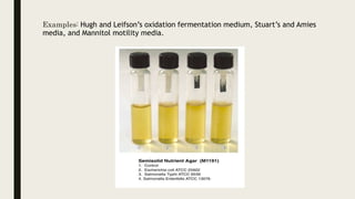 Media and its types.pptx | Chemistry | Science