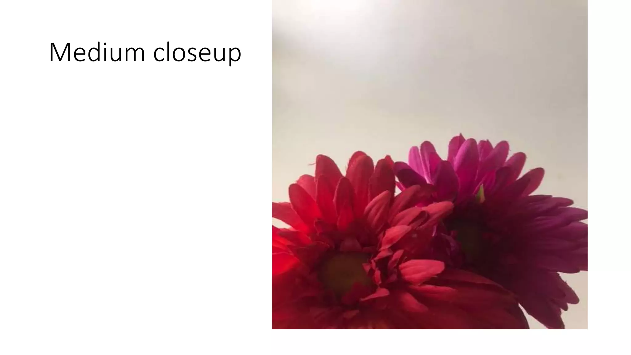 MEDIA ASSIGNMENT.pptx