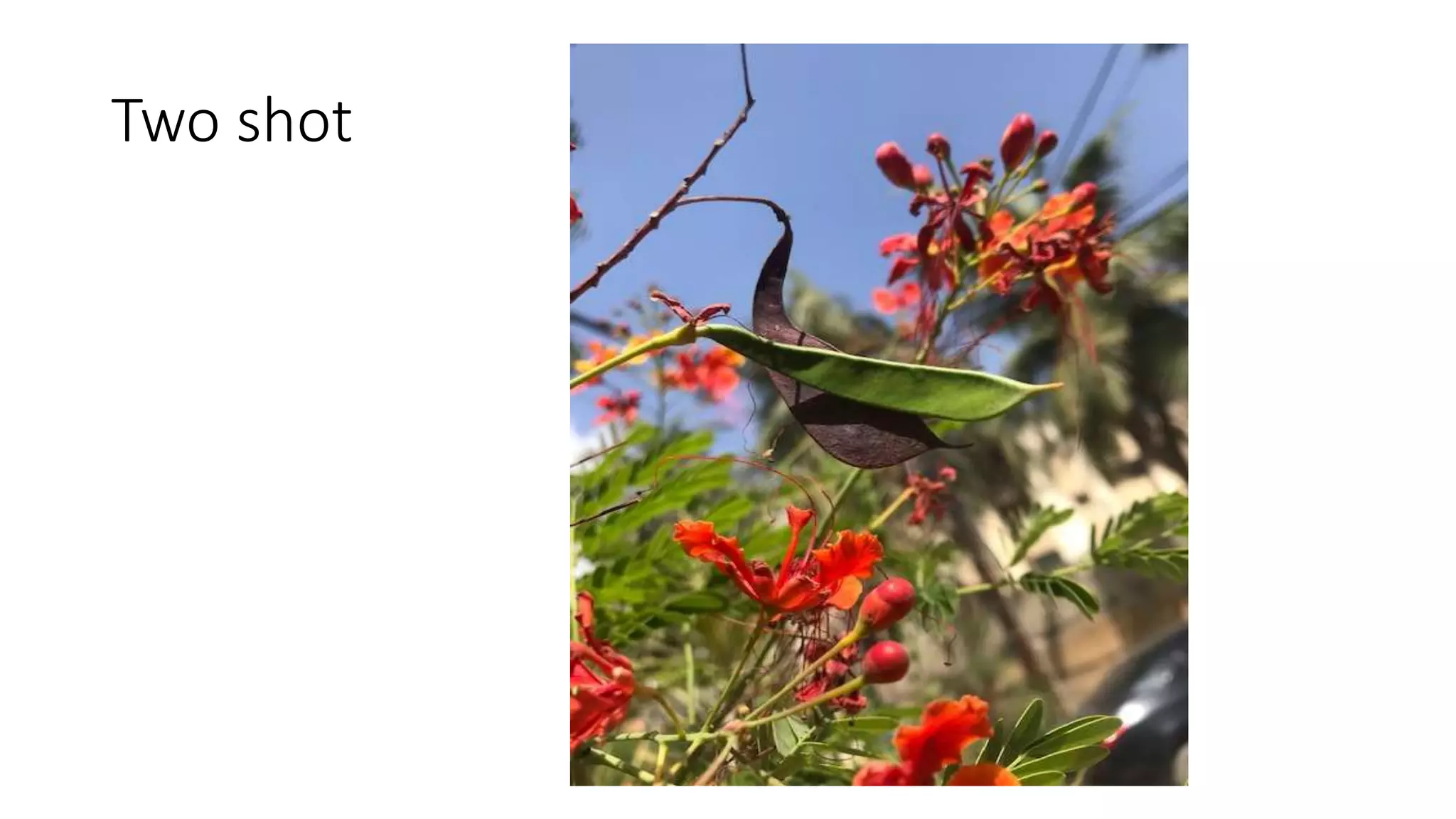 MEDIA ASSIGNMENT.pptx