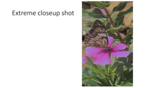 MEDIA ASSIGNMENT.pptx