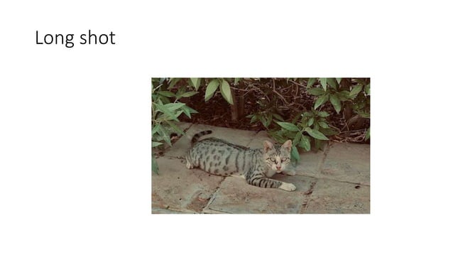 MEDIA ASSIGNMENT.pptx