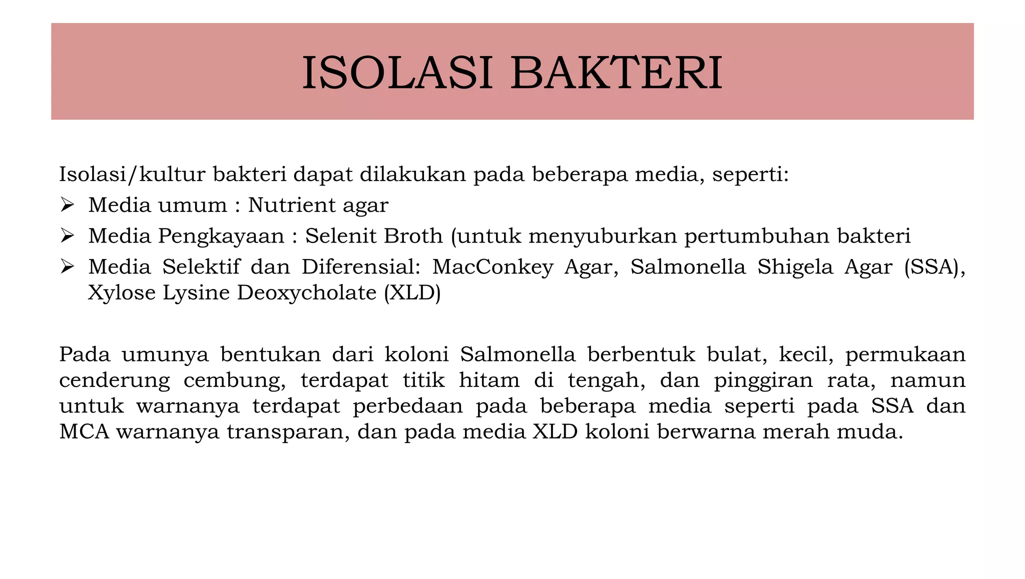 Media Bakteri Salmonella.pptx