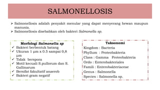 Media Bakteri Salmonella.pptx