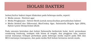 Media Bakteri Salmonella.pptx