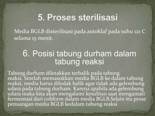 Media BGLB - LB _ Telurit Agar | PPTX