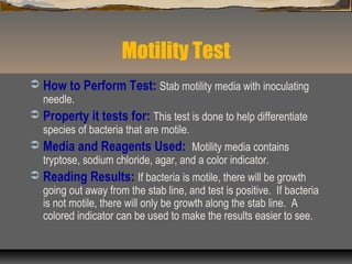 Media and biochemical tests | PPT
