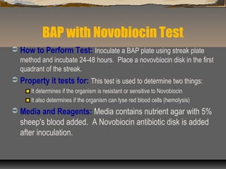 Media and biochemical tests | PPT